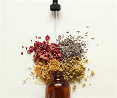 How To Make A Herbal Infused Oil At Home Happy Herb Hub
