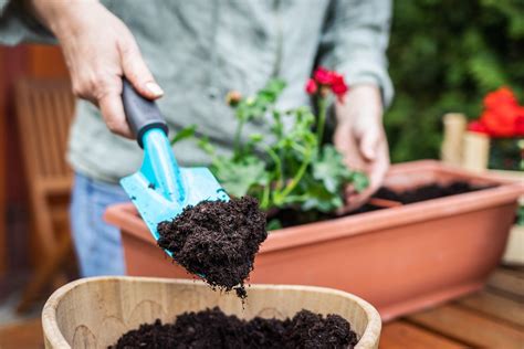 Conheça um incrível adubo natural para as suas plantas crescerem muito