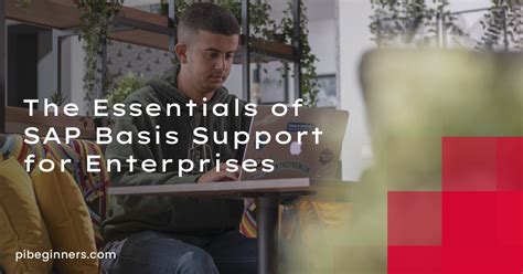 The Essentials Of Sap Basis Support For Enterprises