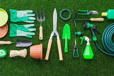 Most Essential Gardening Tools And Equipment For Beginners