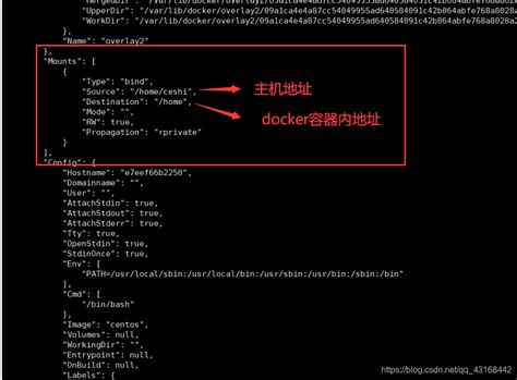 配置docker阿里云镜像地址阿里云docker仓库地址 Csdn博客