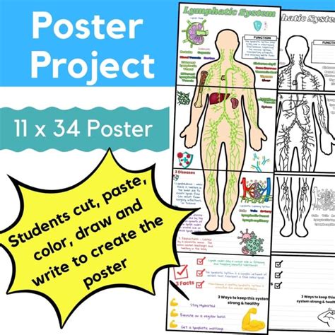 Lymphatic System Bundle Reading Worksheets And Poster Project Editable