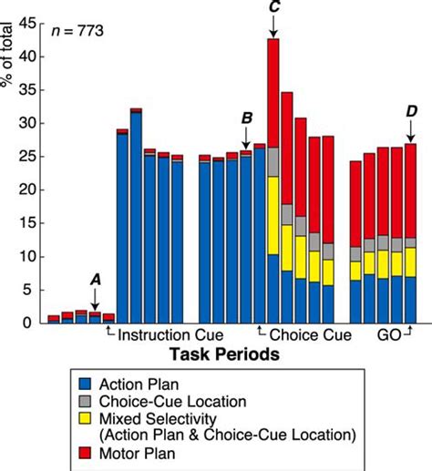 Time Dependent Distribution Of Neurons Selective For Each Of The