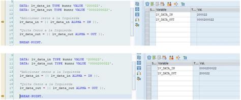 Completar O Quitar Ceros A La Izquierda De Variables Kuaatec