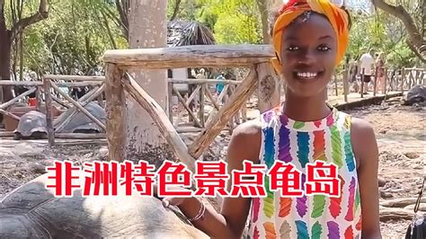 来到了坦桑尼亚桑给巴尔岛的龟岛，看到了很多乌龟，多大岁数的都有【hope和老王的农村生活】 Youtube