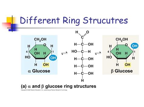 Glucose Structure Linear