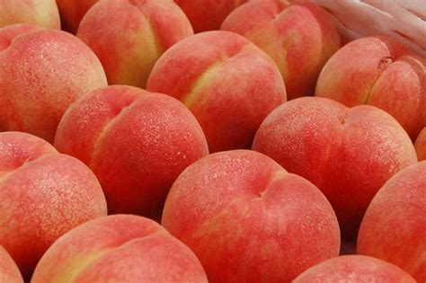 恋愛運をアップする「香り」があった！どんな香り？ 開運ちゃんねる ～運気向上・夢占い・パワースポット～