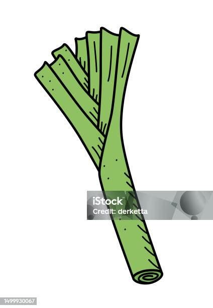 부추 낙서 아이콘 흰색 배경에 부추 잎이 있는 파의 벡터 단일 그림 건강한 식생활에 대한 스톡 벡터 아트 및 기타 이미지