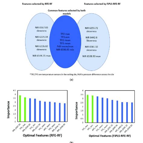 A Features Selected By Rfe Rf And Fipls Rfe Rf B Importance Scores