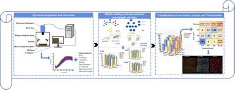 利用高光谱成像结合集成学习模型鉴定小麦种子胚乳纹理 Journal Of Food Composition And Analysis X Mol