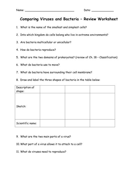 Bacteria And Virus Worksheet