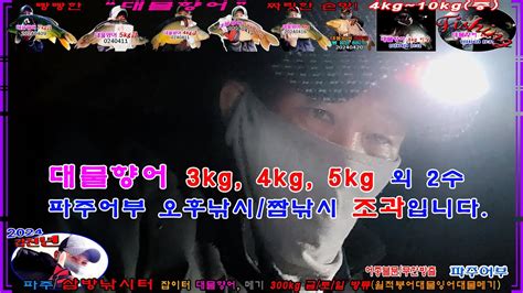 20240424 파주 삼방낚시터 대물 대물향어 3kg 4kg 5kg 외 2수 총 5수 인증 사진 영상 올립니다