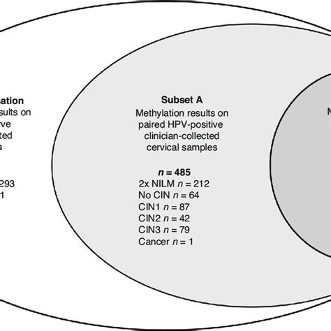 Venn Diagram Showing The Relation Between The Sample Series Used In