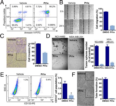 Platinumii N Heterocyclic Carbene Complexes Arrest Metastatic Tumor