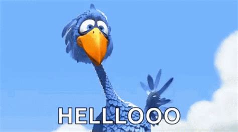 Hello Hi  Hello Hi Bluebird Discover And Share S