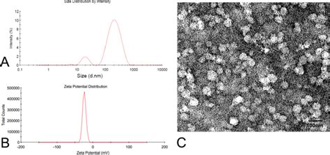 Size Distribution A Zeta Potential Distribution B And