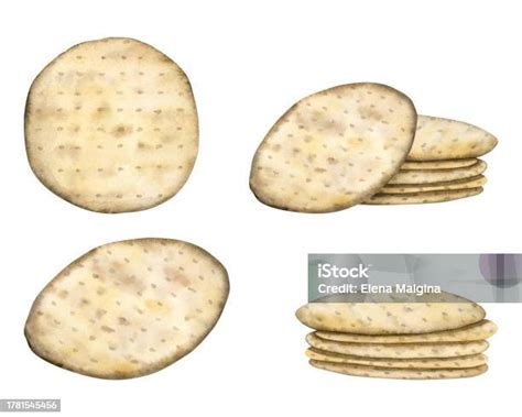 유월절 라운드 Matzah 수채화 그림 세트 흰색 배경에 고립되어 있습니다 Pesach 휴일 Seder를위한 유대인 Matzos