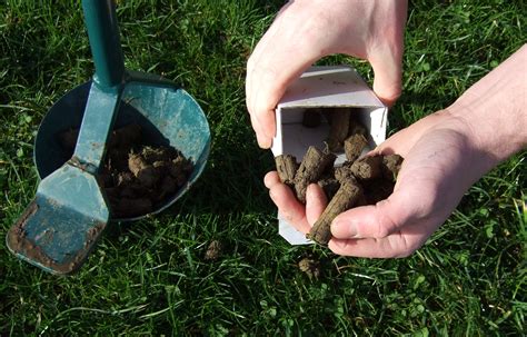 Soil Analysis Basic Samples Shop Kingshay