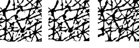 Examples Of Result A Original Segmentation B Improvement Using Mp