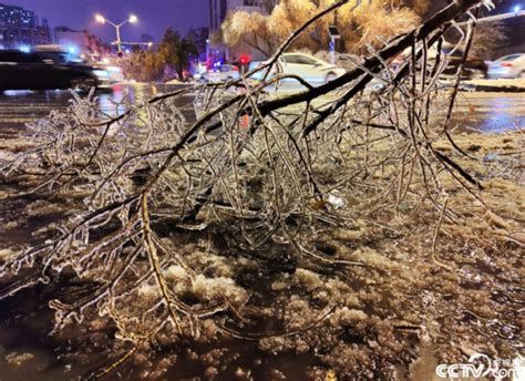 冰城哈尔滨被“冻”住了 新闻频道 中华网