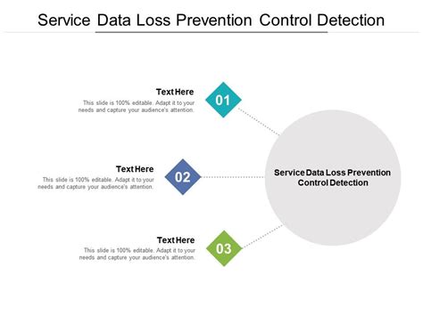 Service Data Loss Prevention Control Detection Ppt Powerpoint