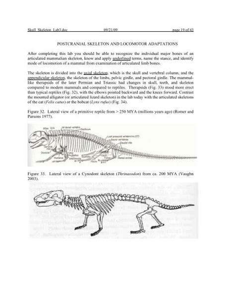 Postcranial Skeleton And Locomotor Adaptations