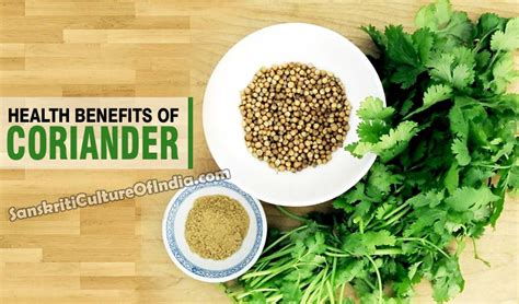 Health Benefits Of Coriander Sanskriti Hinduism And Indian Culture