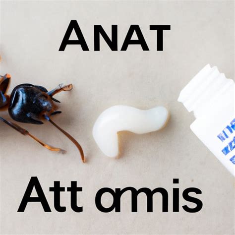How To Get Rid Of Ant Bites Overnight Natural Remedies And