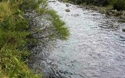 Dickey Flat Campsite Freedombasic Camp New Zealand