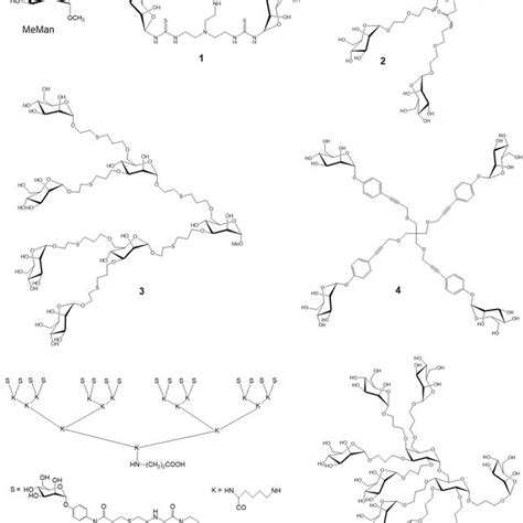 Structures Of Potent Multivalent Anti Adhesives Download