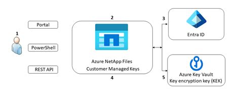 Configure Customer Managed Keys For Azure Netapp Files Volume Encryption Microsoft Learn