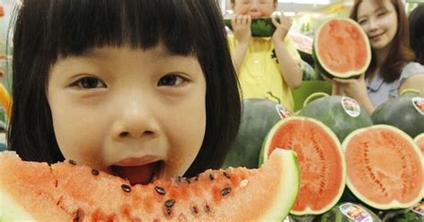 여름철 과일은 수박