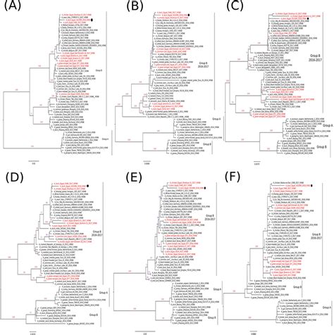 Phylogenetic Trees Of The Nucleotide Sequences Of The Gene Segments