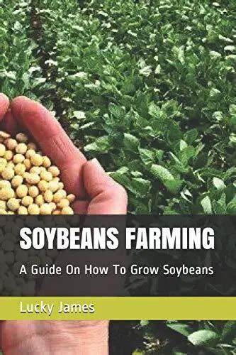 Soybeans Farming A Guide On How To Grow Soybeans 1764 Picclick Ca