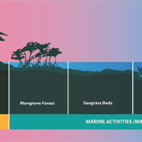 Gender Activities Related To Marine And Coastal Resources Based On