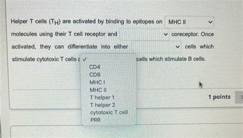 Solved Helper T Cells TH Are Activated By Binding To Chegg
