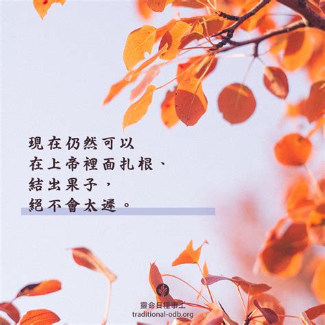 share ctodb 2019 11 20 靈命日糧繁體中文網站