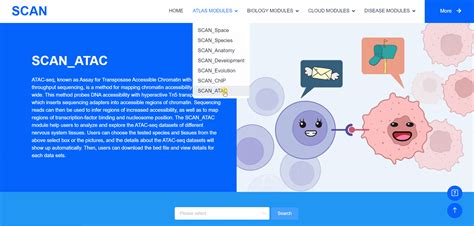 Scan Spatiotemporal Cloud Atlas For Neural Cells