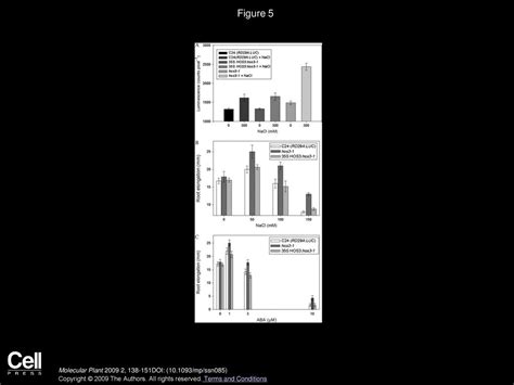 Volume 2 Issue 1 Pages January 2009 Ppt Download