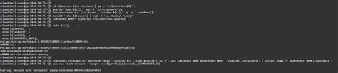 Aws Fargateでecs Exec、session Managerモロモロのtips 電通総研 テックブログ
