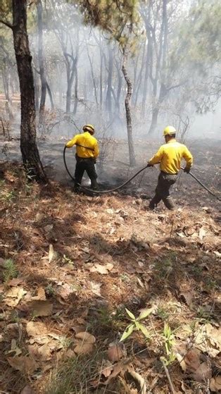 La Jornada Hay 61 Incendios Forestales Activos En México Conafor