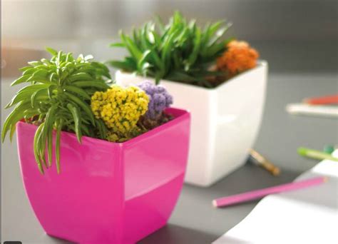 Керамические горшки для цветов