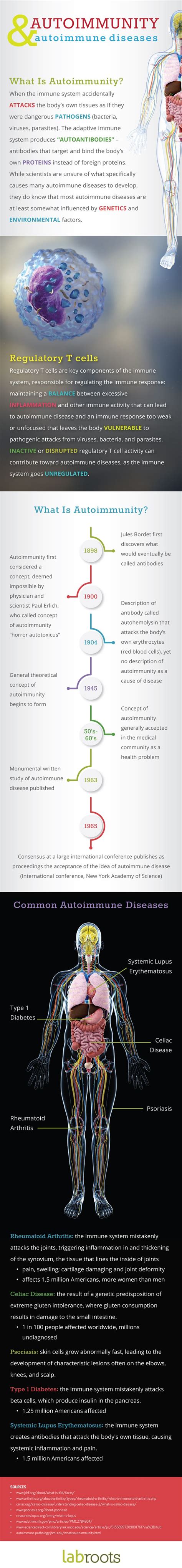 Autoimmunity And Autoimmune Diseases Infographic Infographics