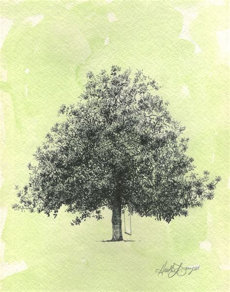 Swing Tree Line Drawing Watercolor Paintings Art Painting Tree Sketches Magnolia Trees Ink