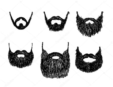 Barbas y bigotes diferentes tipos Dibujo vectorial Ilustración 2023