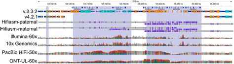 Genes In The Kir Locus Are Excluded In V 4 2 1 Because Of Duplication