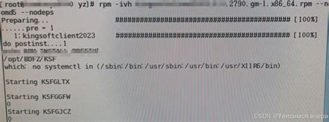 Linux Rpm与deb怎么看linux安装rpm还是deb Csdn博客 Linux Rpm与deb怎么看linux安装rpm还是deb Csdn博客