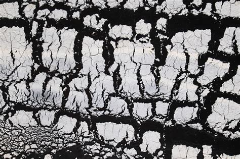 배경 화면 또는 배경에 대한 흑백의 원활한 패턴 텍스처 디자인 0명에 대한 스톡 사진 및 기타 이미지 0명 갈색 거친