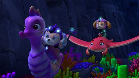 Aqua Pups Pups Save The Reeftrivia Paw Patrol Wiki Fandom