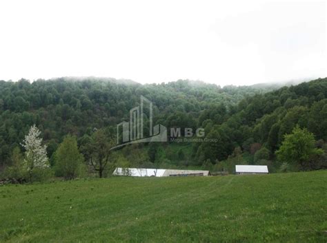 ბორჯომის რაიონი სოფელი ციხისჯვარი